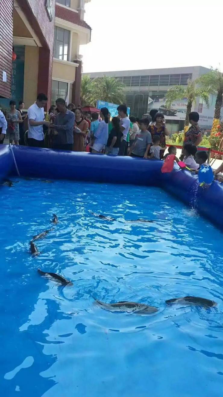 全民健身挑战自我!湖滨玫瑰周末嘉年华活动欢乐来袭-济宁搜狐焦点